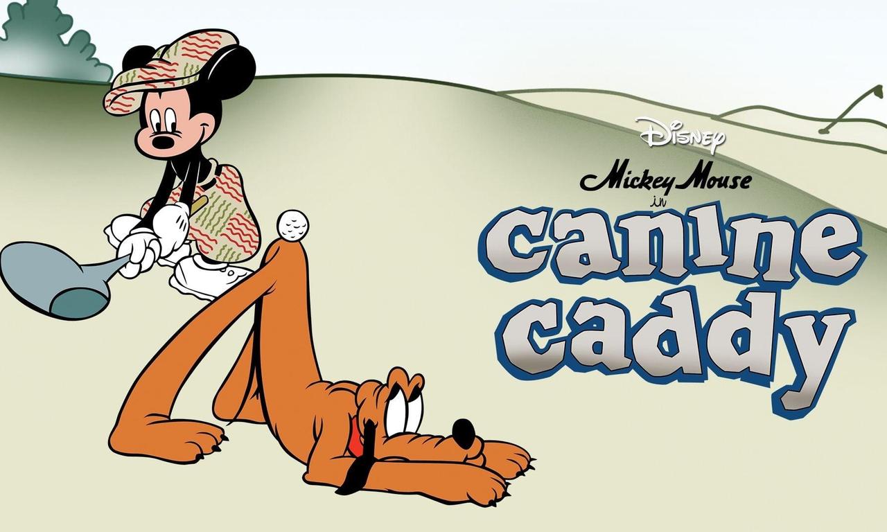 Canine Caddy - Where to Watch and Stream Online – Entertainment.ie