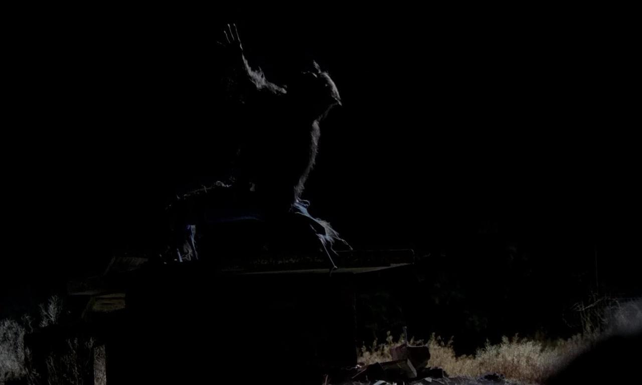 Dark Moon Rising - Where to Watch and Stream Online – Entertainment.ie