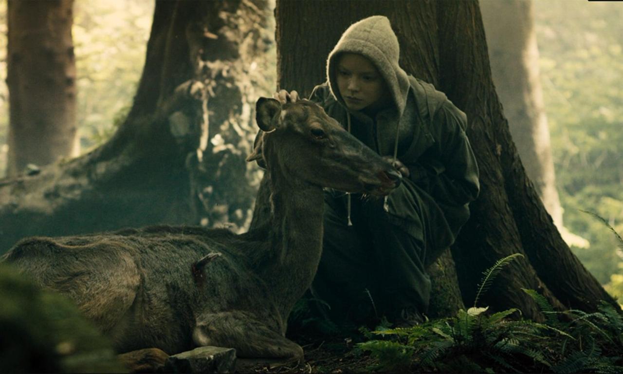 Morgan - Where to Watch and Stream Online – Entertainment.ie