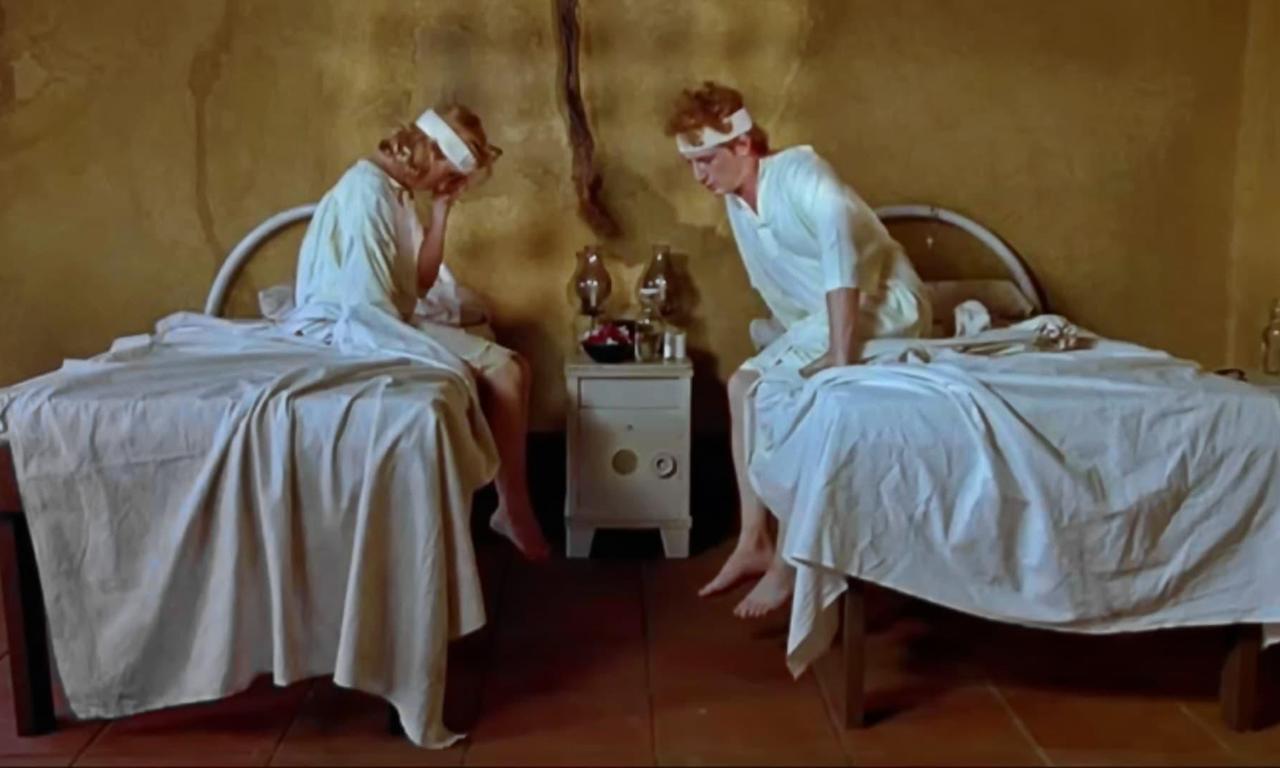 Pure Luck - Where to Watch and Stream Online – Entertainment.ie