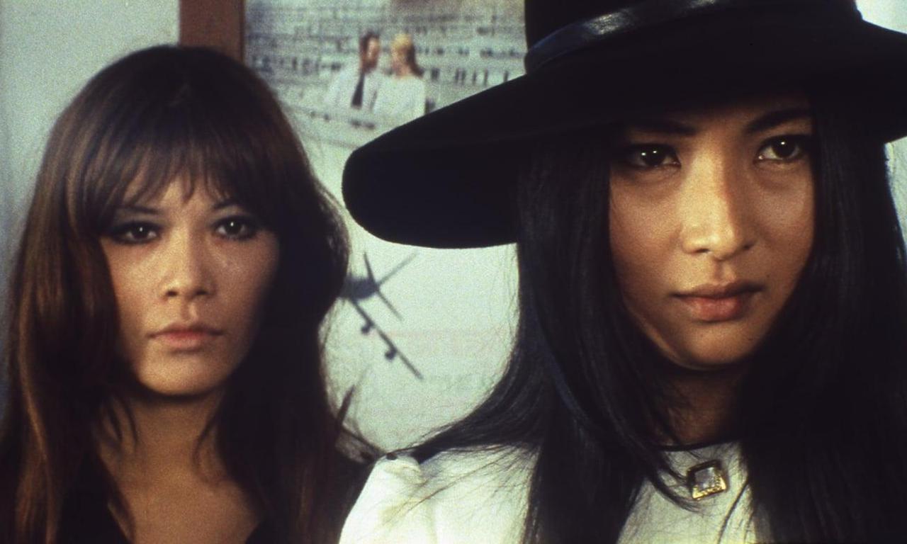 Stray Cat Rock: Machine Animal - Where to Watch and Stream Online ...