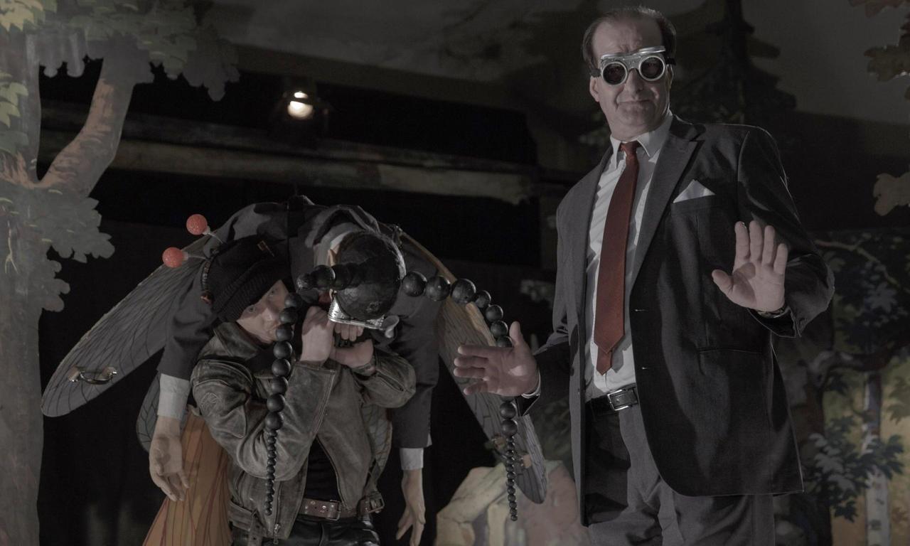 Insect - Where to Watch and Stream Online – Entertainment.ie