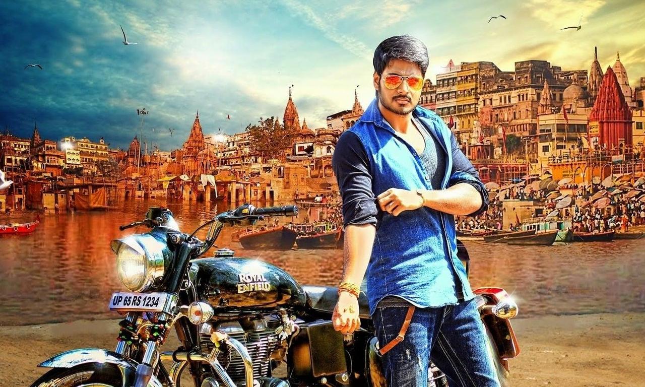 Tiger - Where to Watch and Stream Online – Entertainment.ie