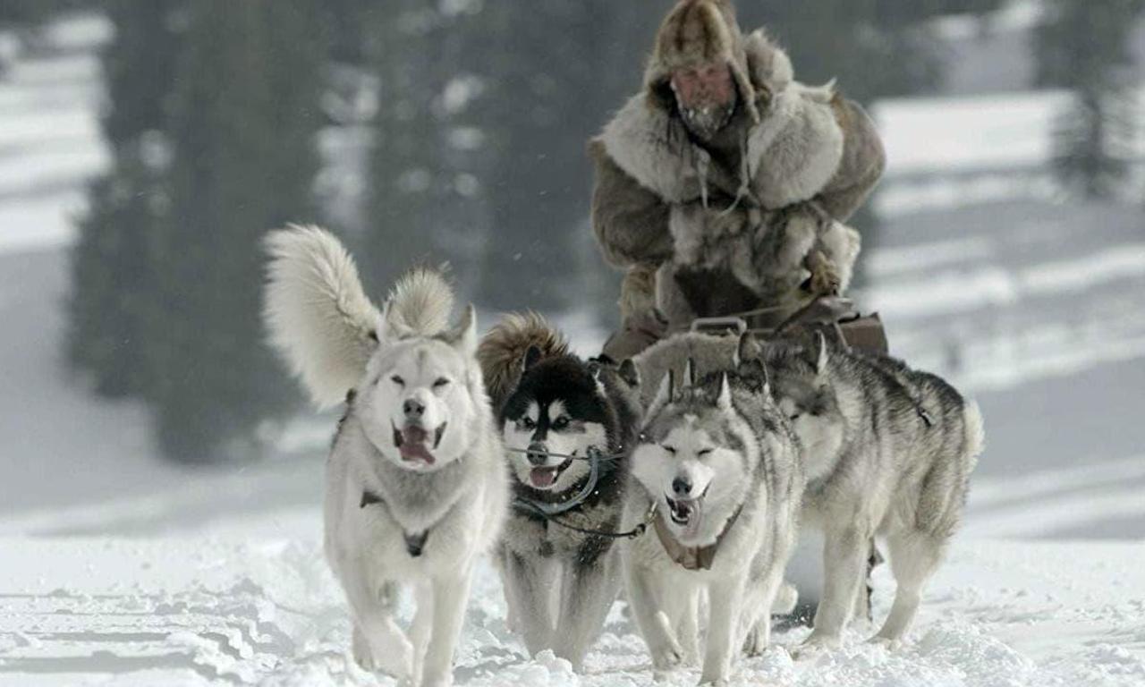 The Great Alaskan Race - Where to Watch and Stream Online ...