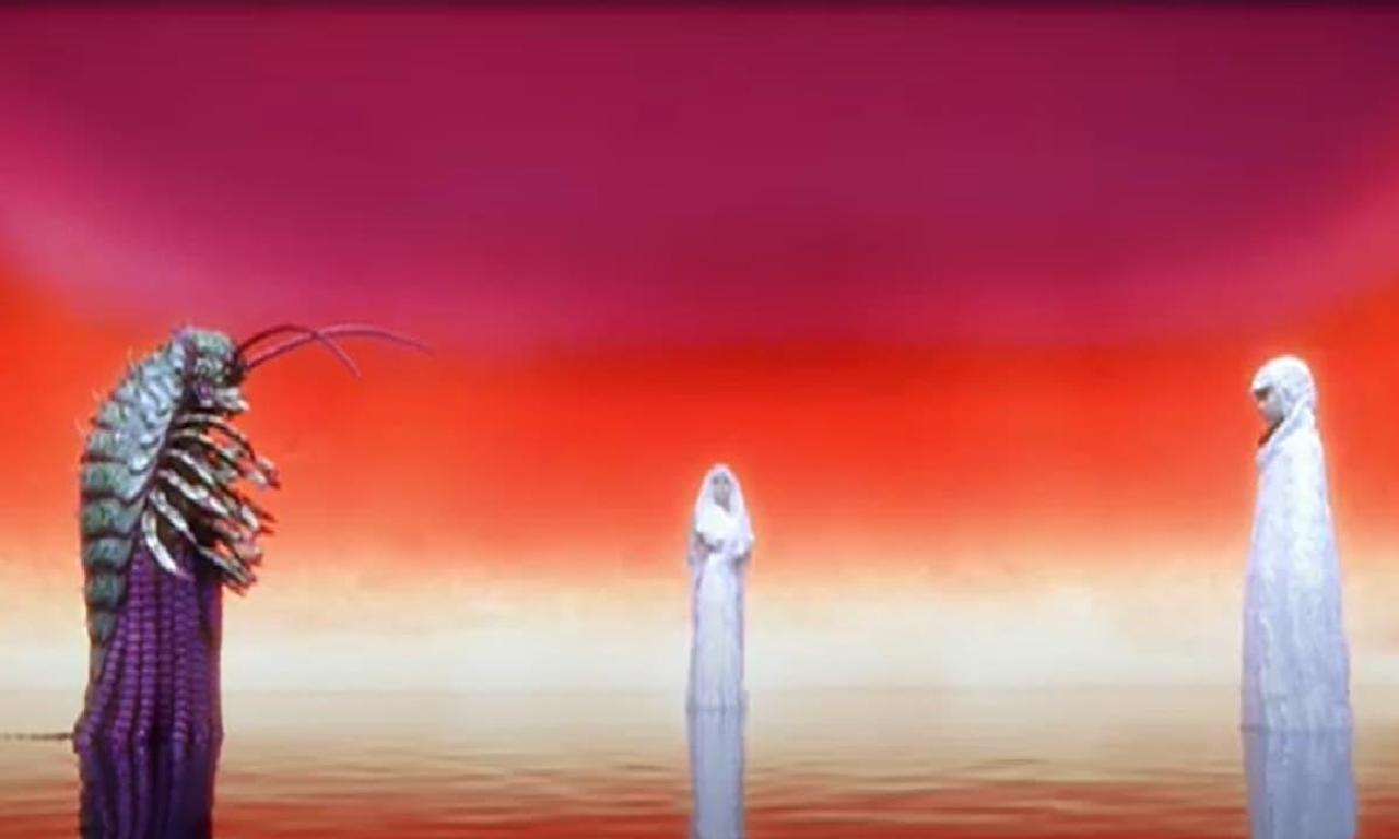 EGG. - Where to Watch and Stream Online – Entertainment.ie