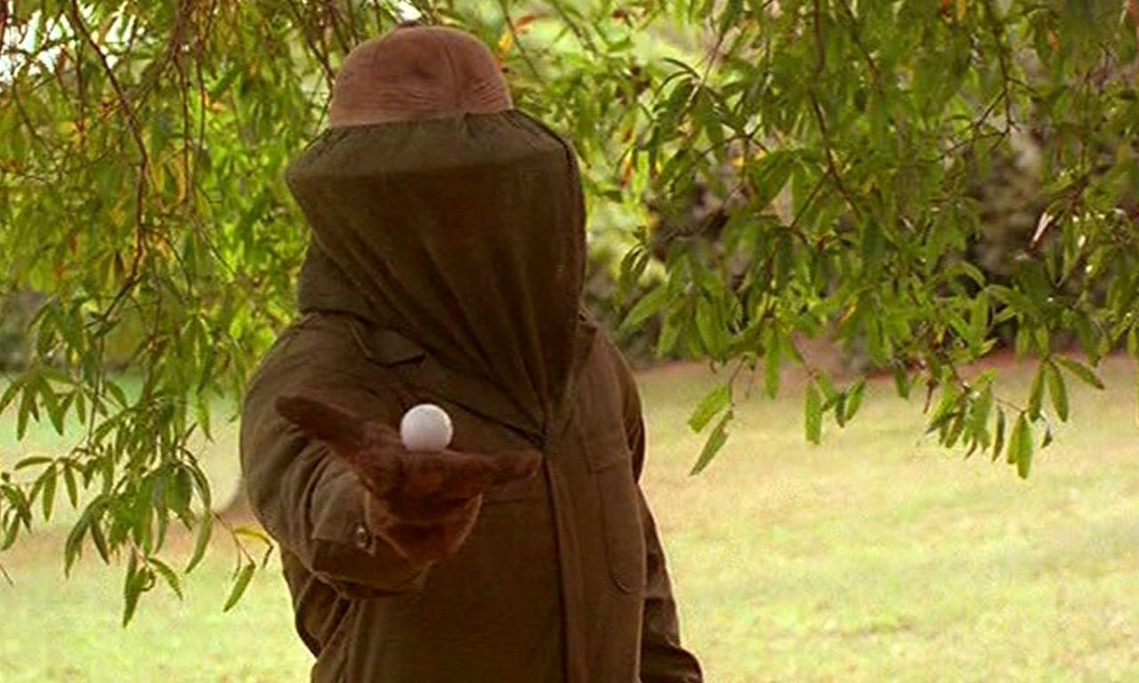 The Greenskeeper - Where to Watch and Stream Online – Entertainment.ie