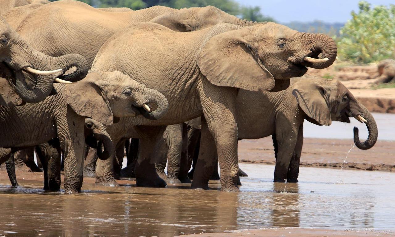 Chasing the rains - Where to Watch and Stream Online – Entertainment.ie