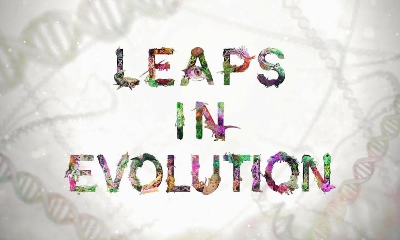 Leaps In Evolution - Where to Watch and Stream Online – Entertainment.ie