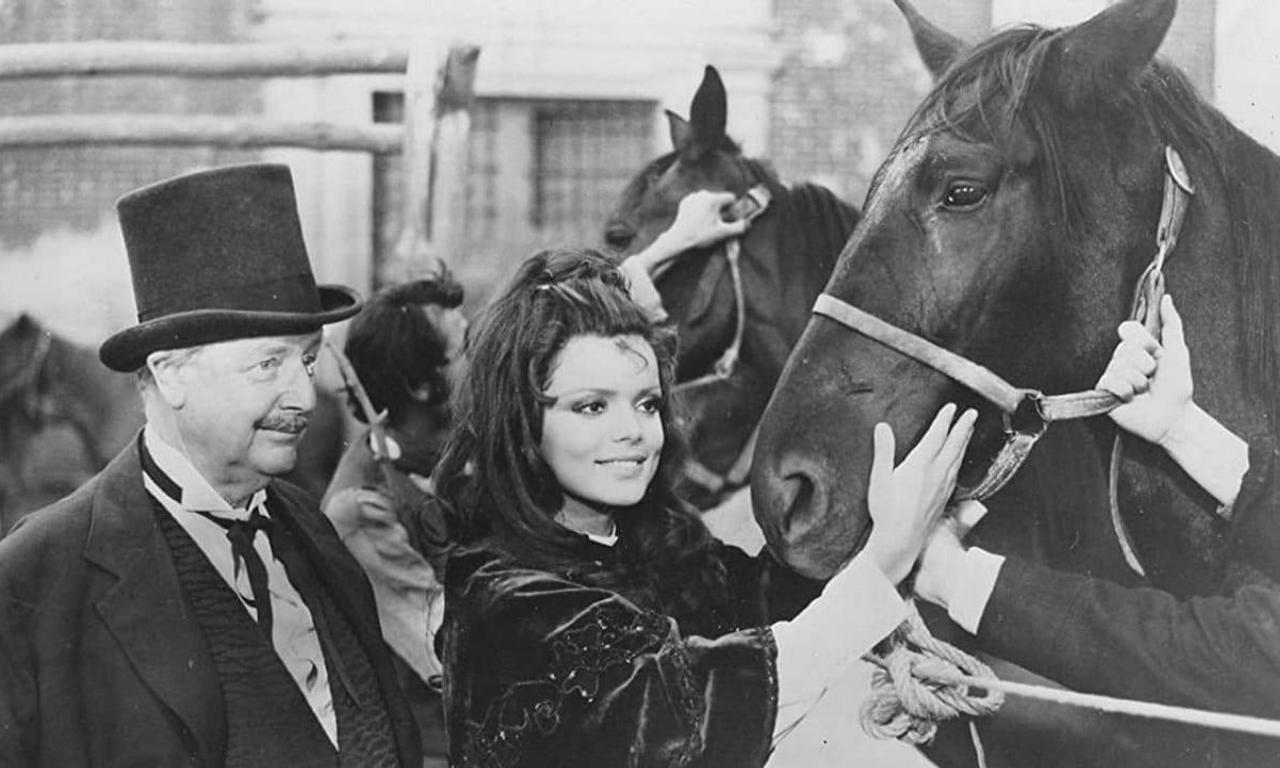 Black Beauty - Where to Watch and Stream Online – Entertainment.ie