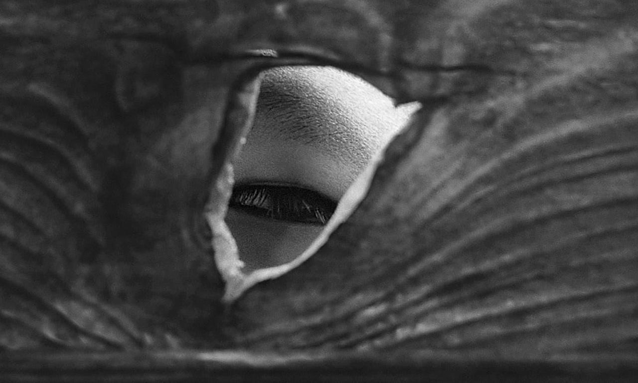 Pitfall - Where to Watch and Stream Online – Entertainment.ie