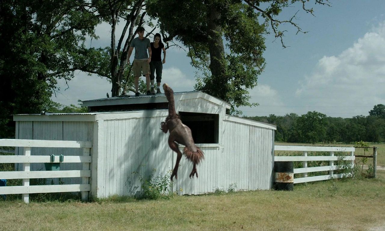 Terror Birds - Where to Watch and Stream Online – Entertainment.ie