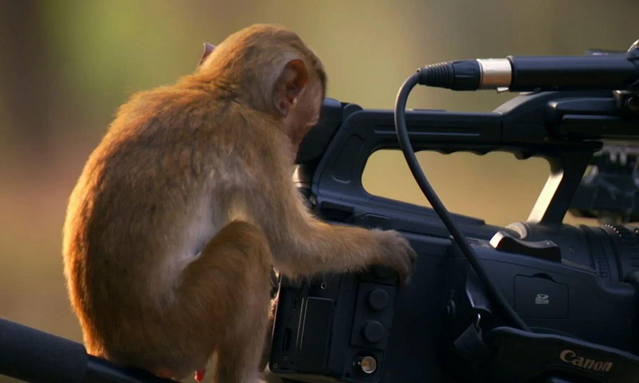 Bad Nature - Where to Watch and Stream Online – Entertainment.ie