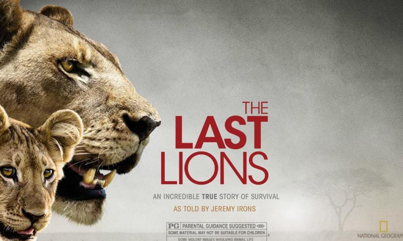 The Last Lions - Where to Watch and Stream Online – Entertainment.ie
