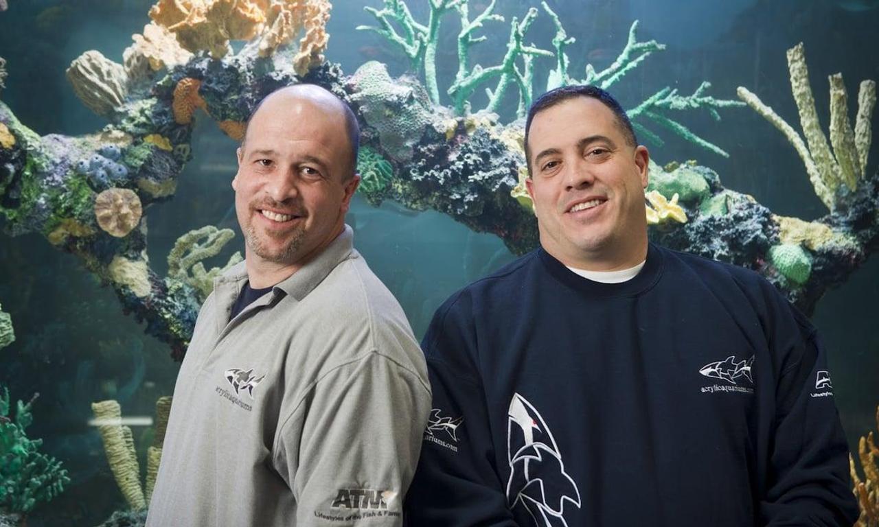 Tanked - Where to Watch and Stream Online – Entertainment.ie