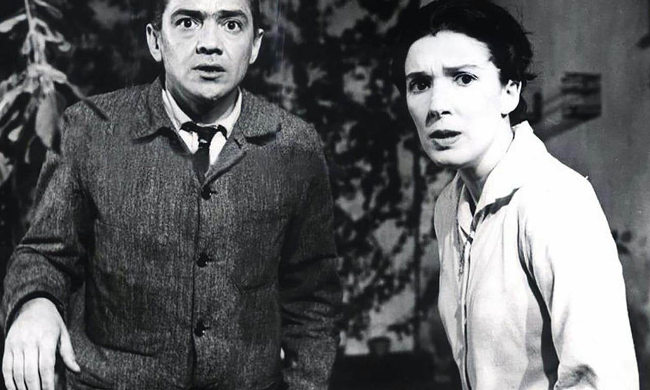 The Dependent - Where to Watch and Stream Online – Entertainment.ie