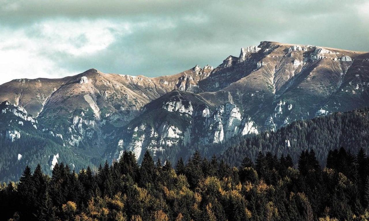 Untamed Romania - Where to Watch and Stream Online – Entertainment.ie