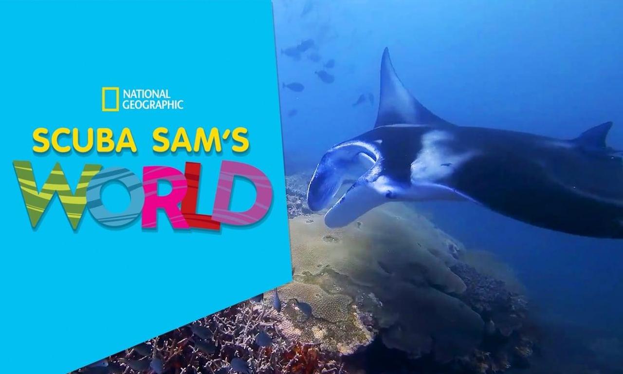 Scuba Sam's World - Where to Watch and Stream Online – Entertainment.ie