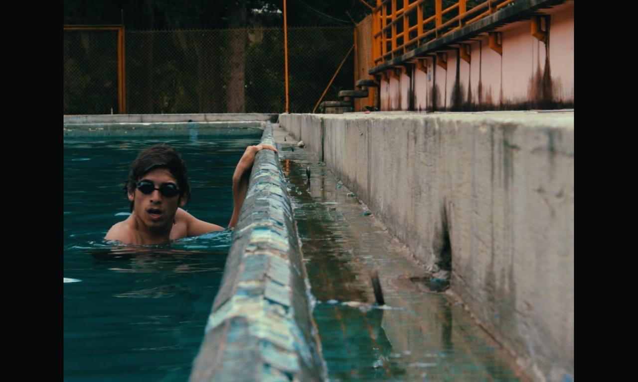 The Pool - Where to Watch and Stream Online – Entertainment.ie