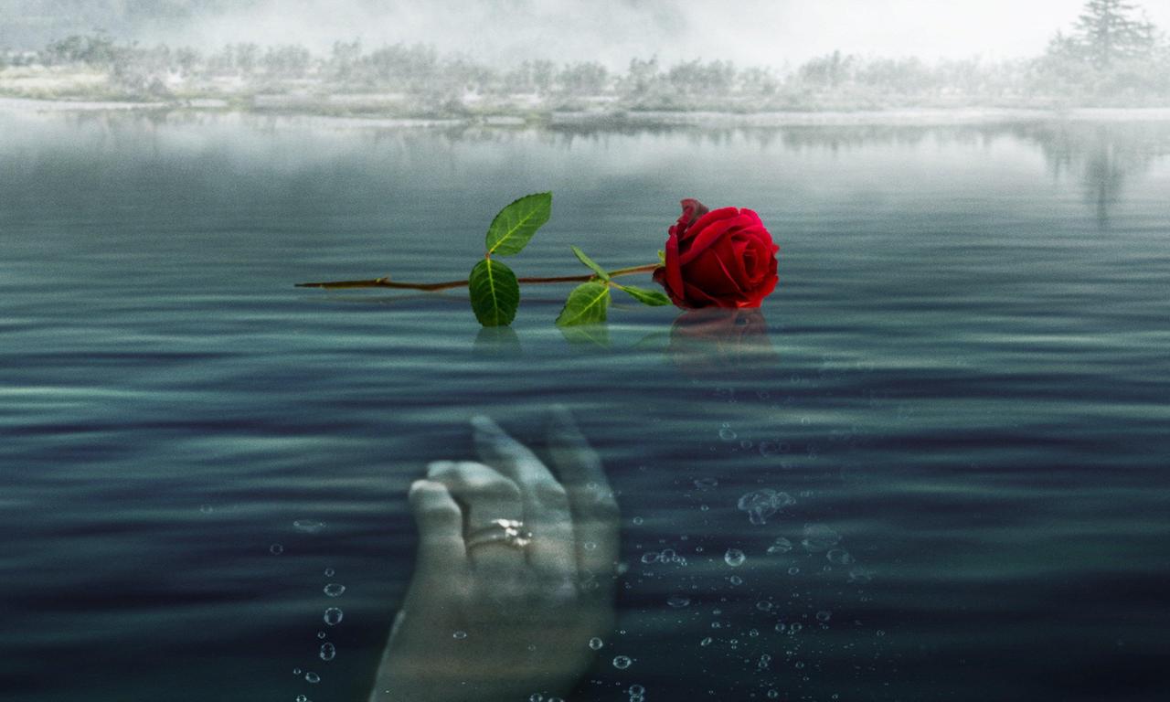 A Rose for Her Grave: The Randy Roth Story - Where to Watch and Stream ...