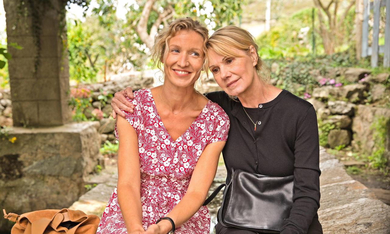 The Morning After - Where to Watch and Stream Online – Entertainment.ie