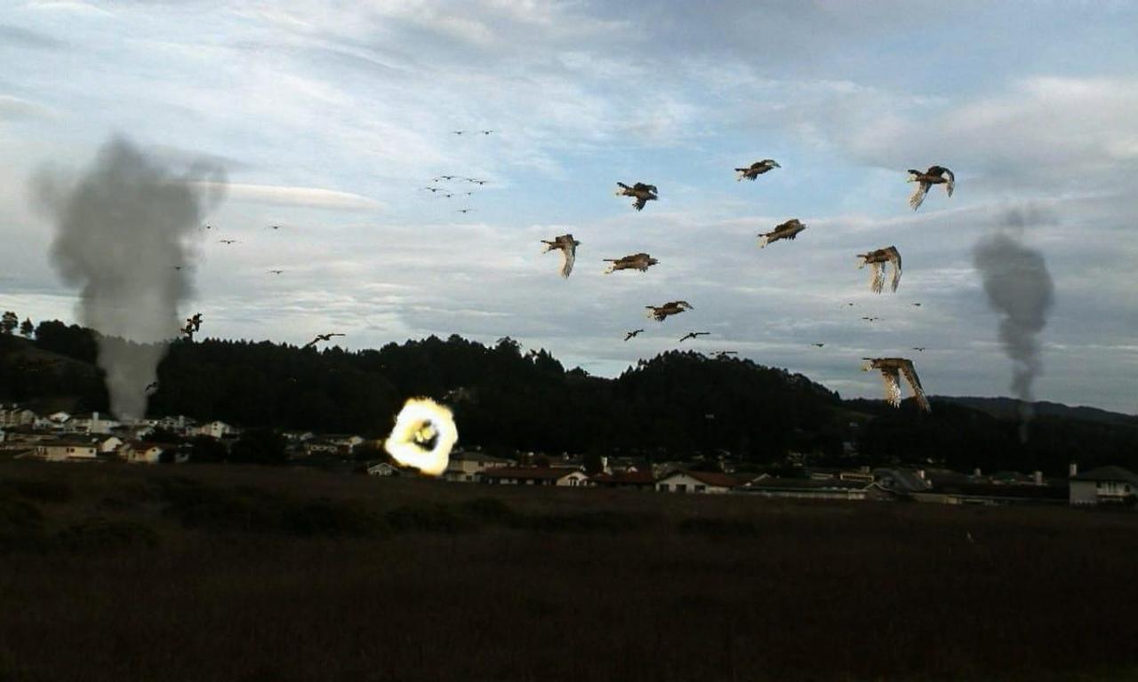 Birdemic: Shock and Terror - Where to Watch and Stream Online ...