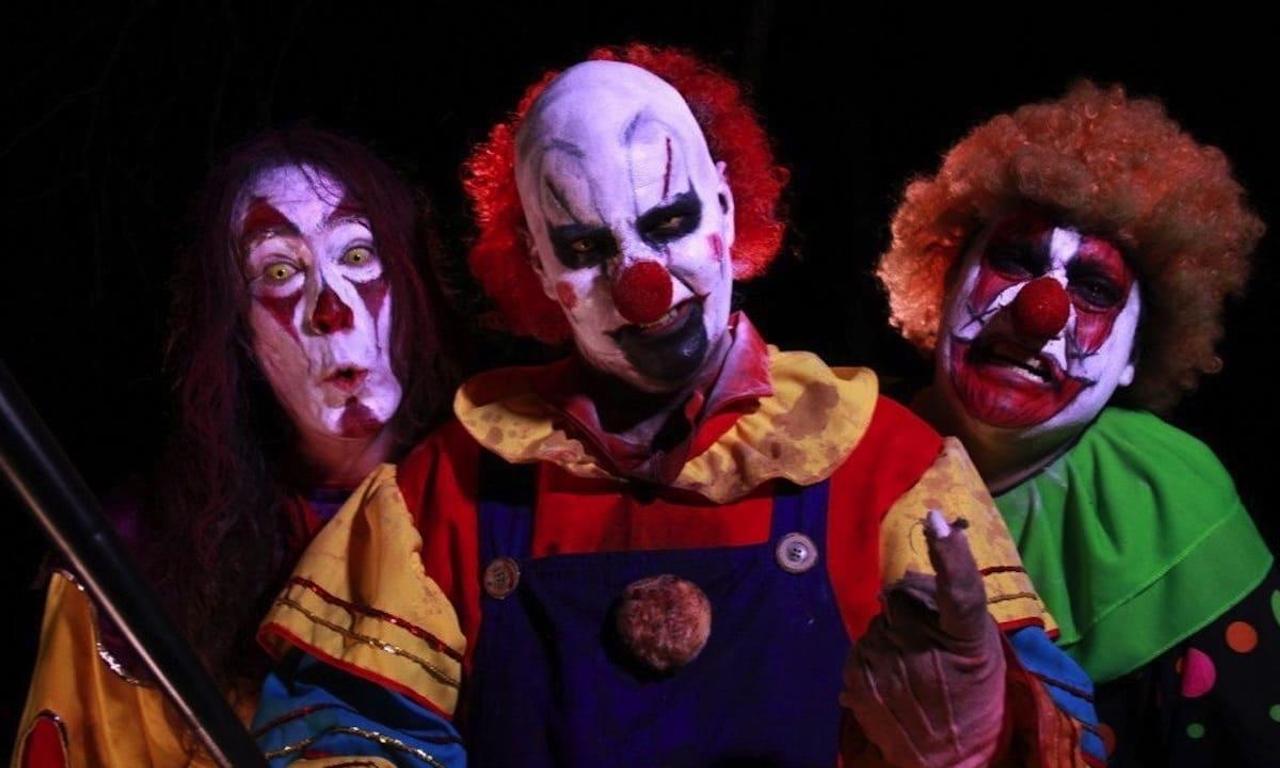 The Legend Of Wasco - Where to Watch and Stream Online – Entertainment.ie