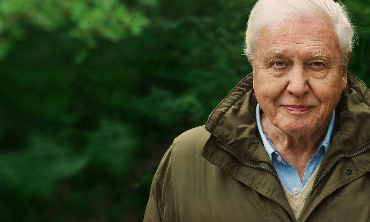 David Attenborough: A Life on Our Planet - Where to Watch and Stream ...