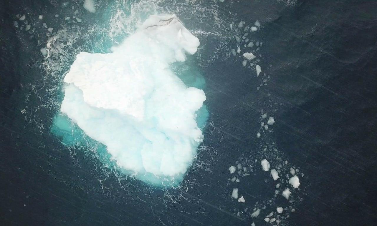 FREM - Where to Watch and Stream Online – Entertainment.ie