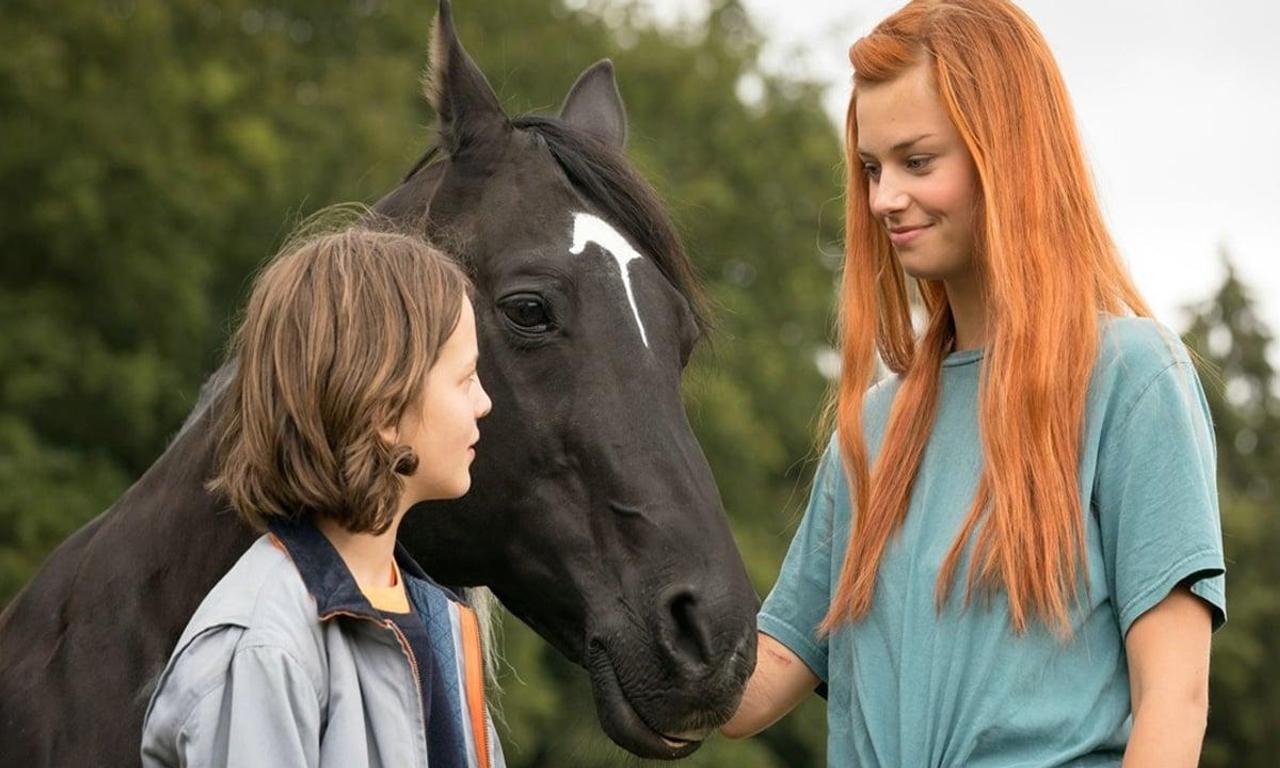 Windstorm 4 - Where to Watch and Stream Online – Entertainment.ie