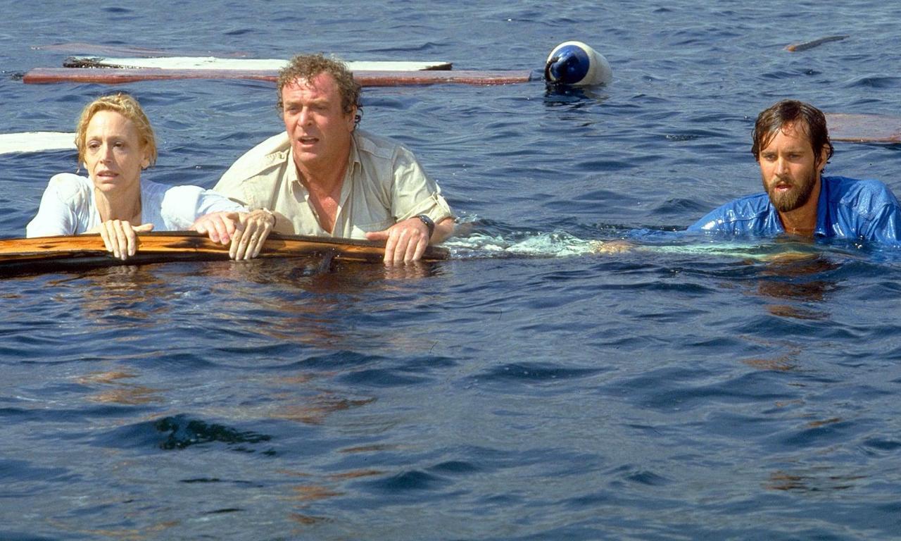 Jaws: The Revenge - Where to Watch and Stream Online – Entertainment.ie