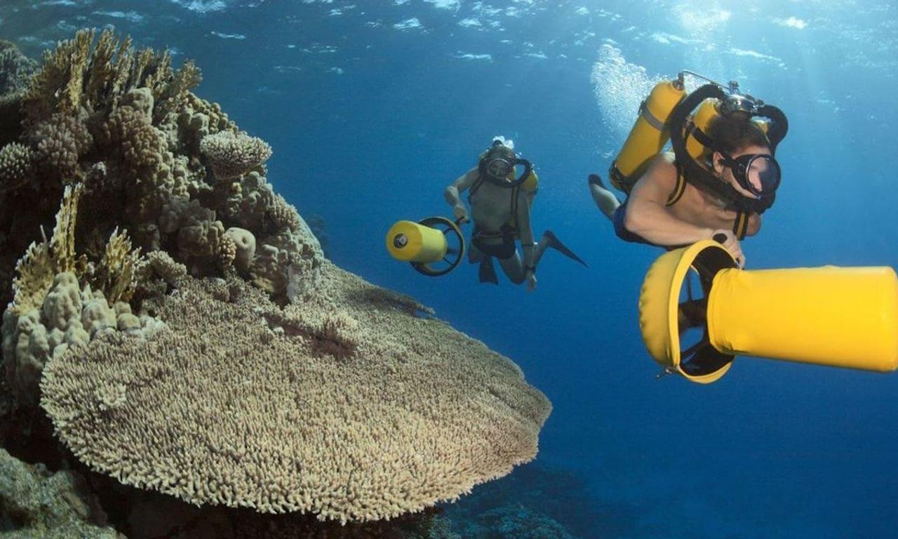 Jacques Cousteau's Legacy – Return to the Undersea World - Where to ...