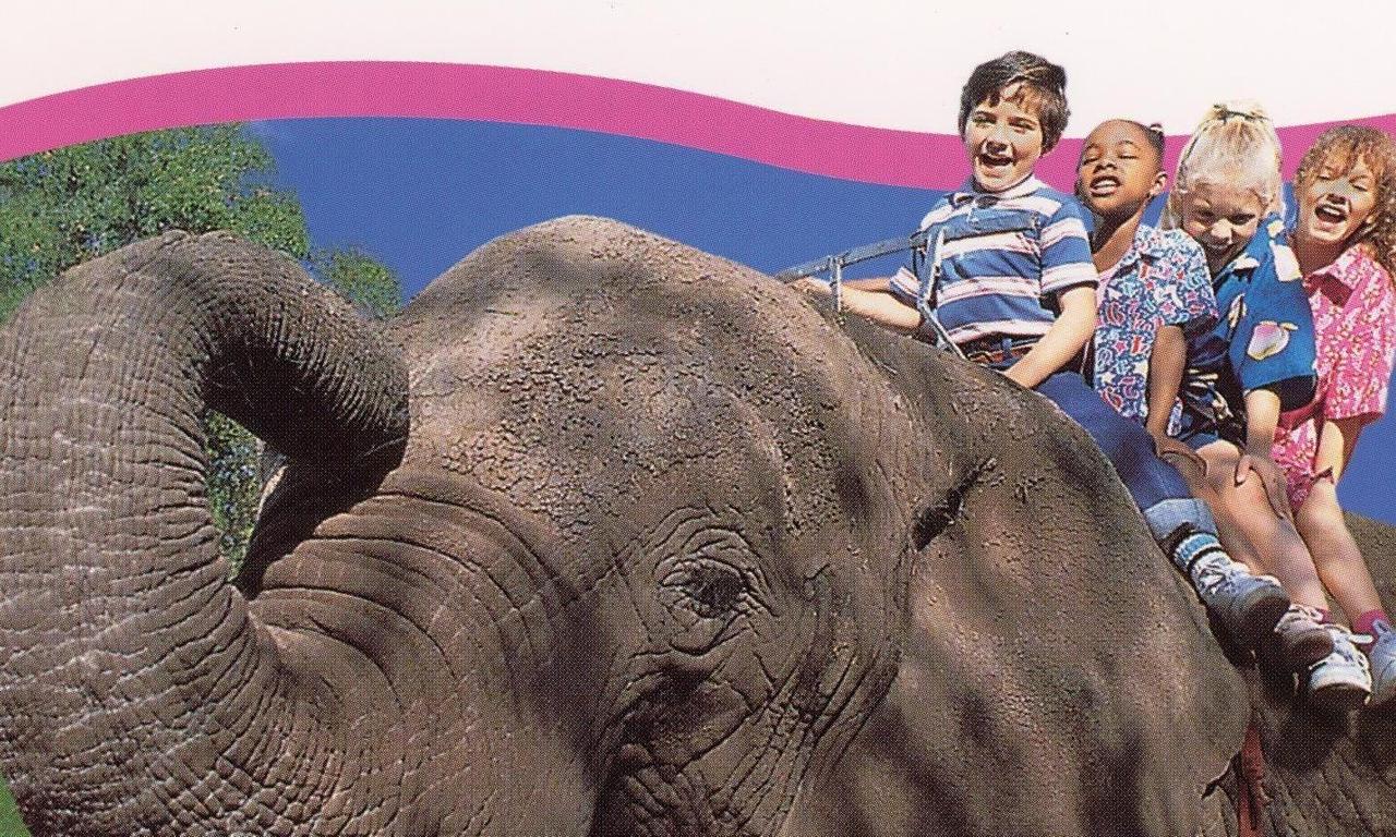 Kidsongs: A Day with the Animals - Where to Watch and Stream Online ...