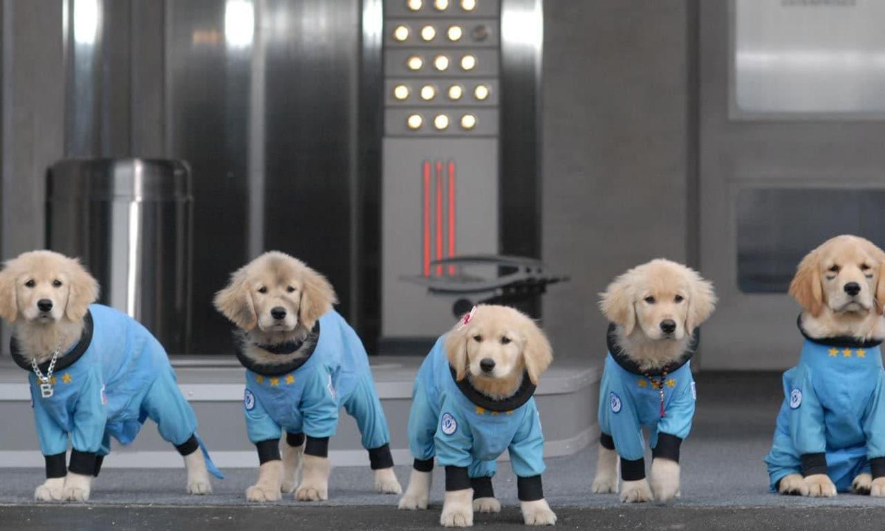 Space Buddies - Where to Watch and Stream Online – Entertainment.ie