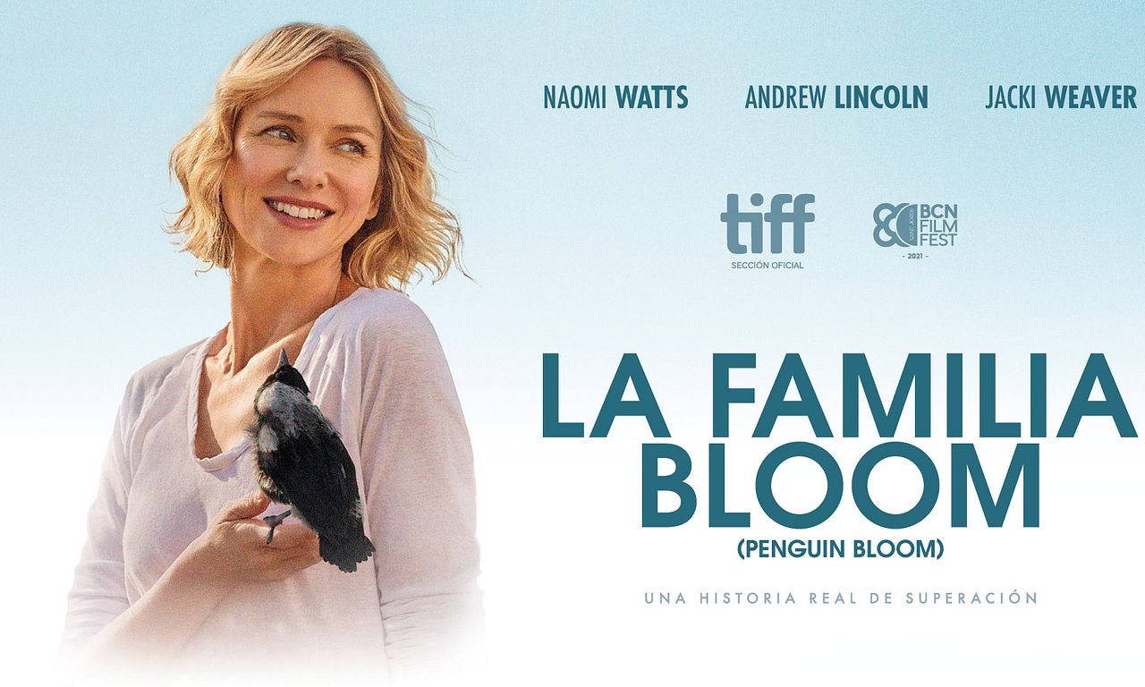 Penguin Bloom - Where to Watch and Stream Online – Entertainment.ie