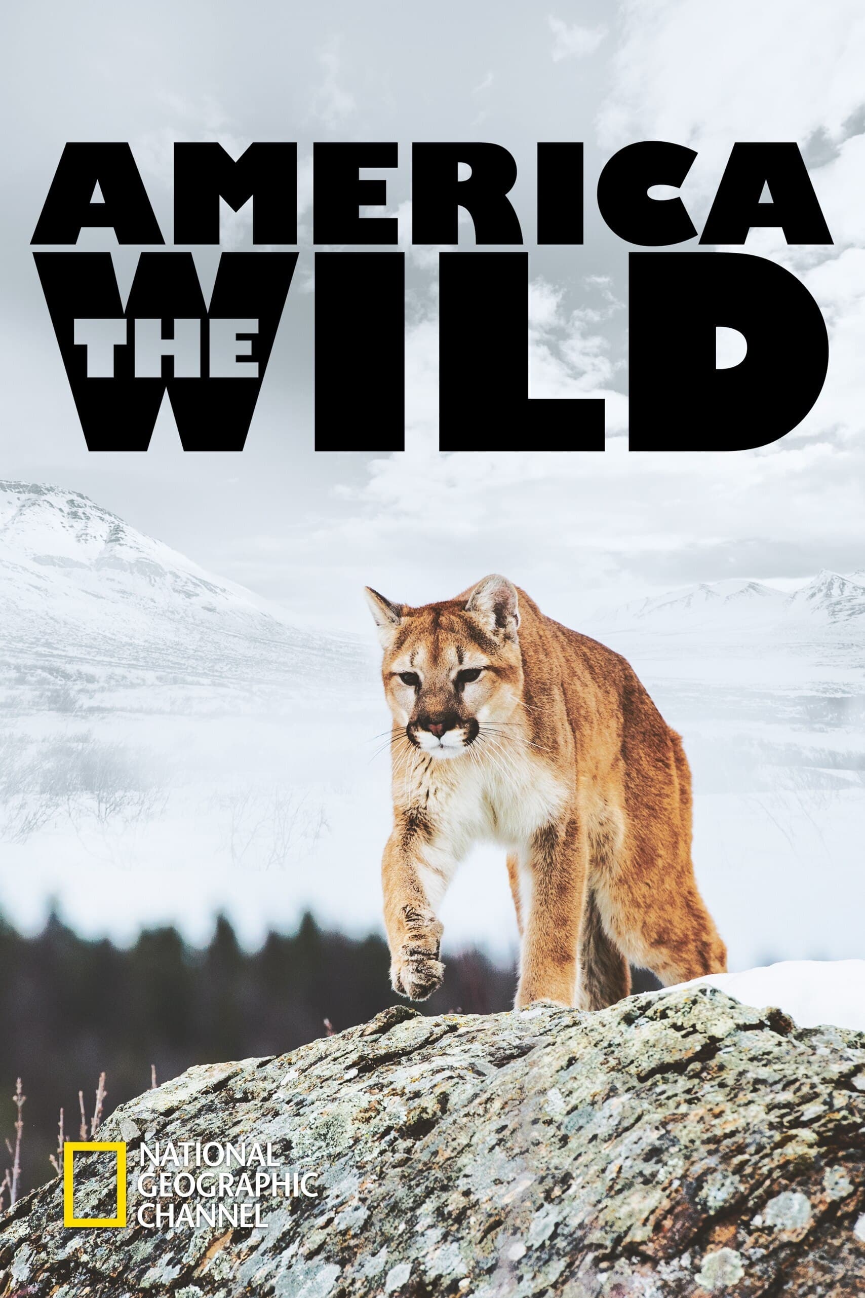 America the Wild with Casey Anderson - Where to Watch and Stream Online ...