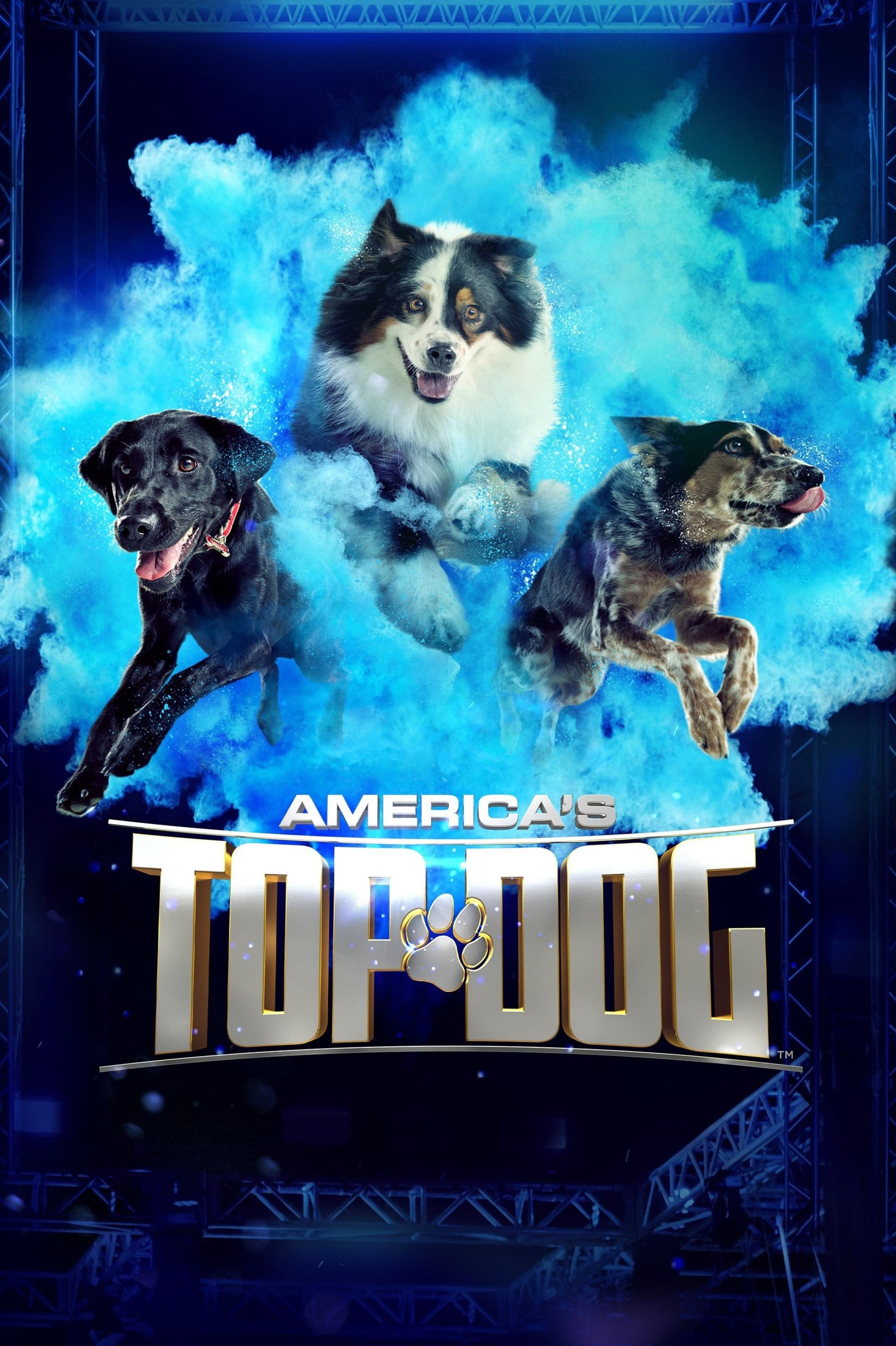 America's Top Dog - Where to Watch and Stream Online – Entertainment.ie