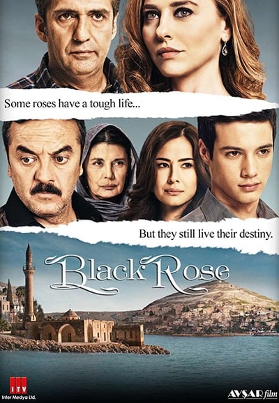Black Rose - Where to Watch and Stream Online – Entertainment.ie