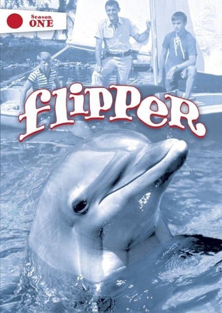 Flipper - Where to Watch and Stream Online – Entertainment.ie