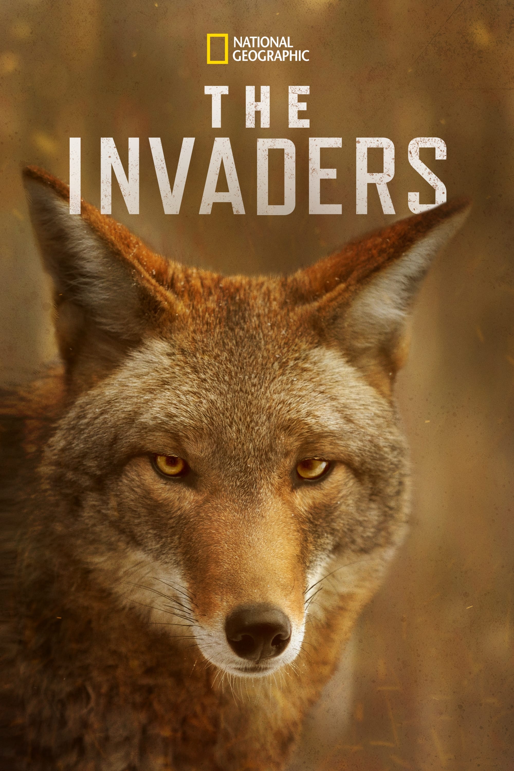 The Invaders - Where to Watch and Stream Online – Entertainment.ie