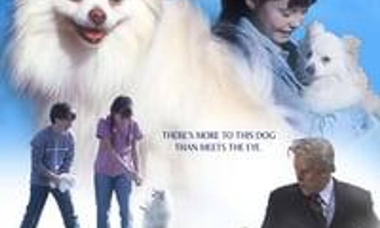 Quigley - Where to Watch and Stream Online – Entertainment.ie