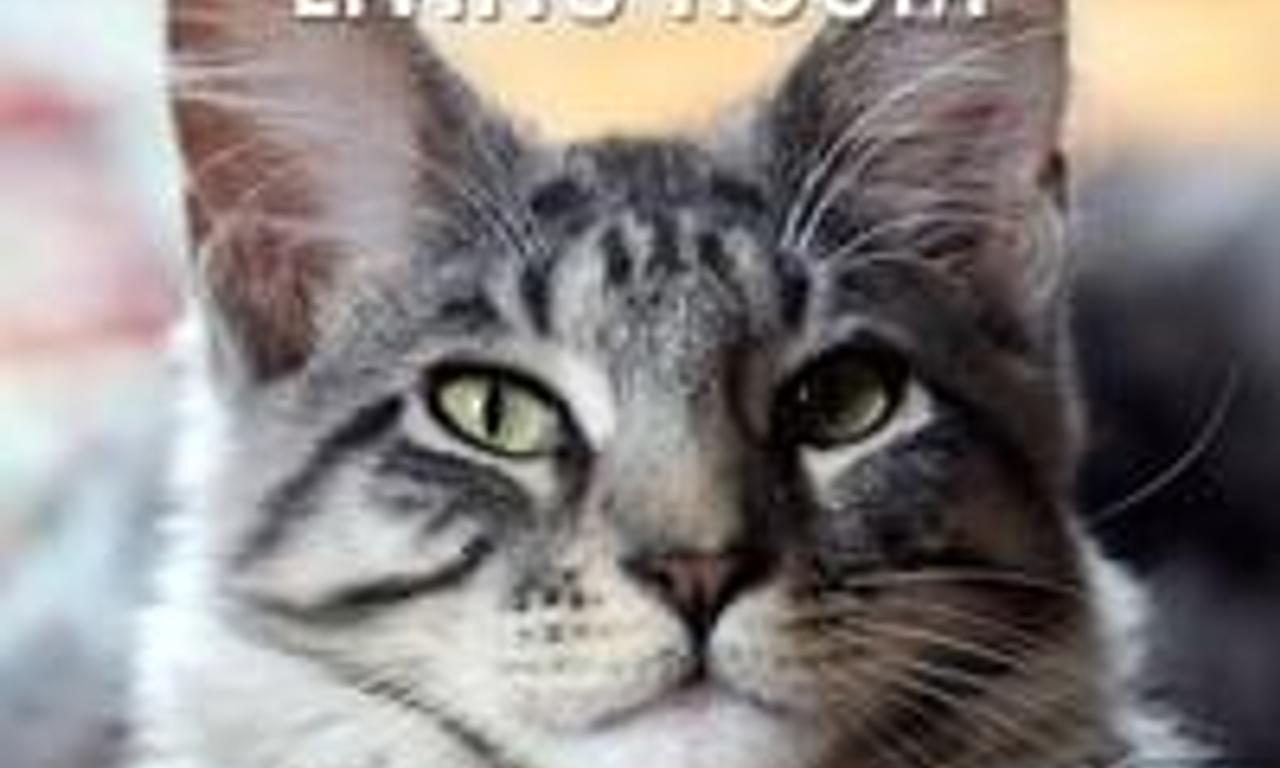 The Lion In Your Living Room - Where to Watch and Stream Online ...