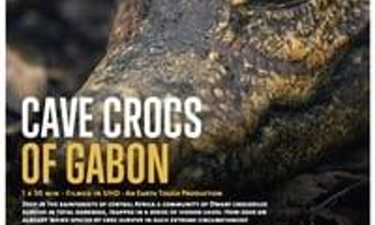 Cave Crocs of Gabon - Where to Watch and Stream Online – Entertainment.ie