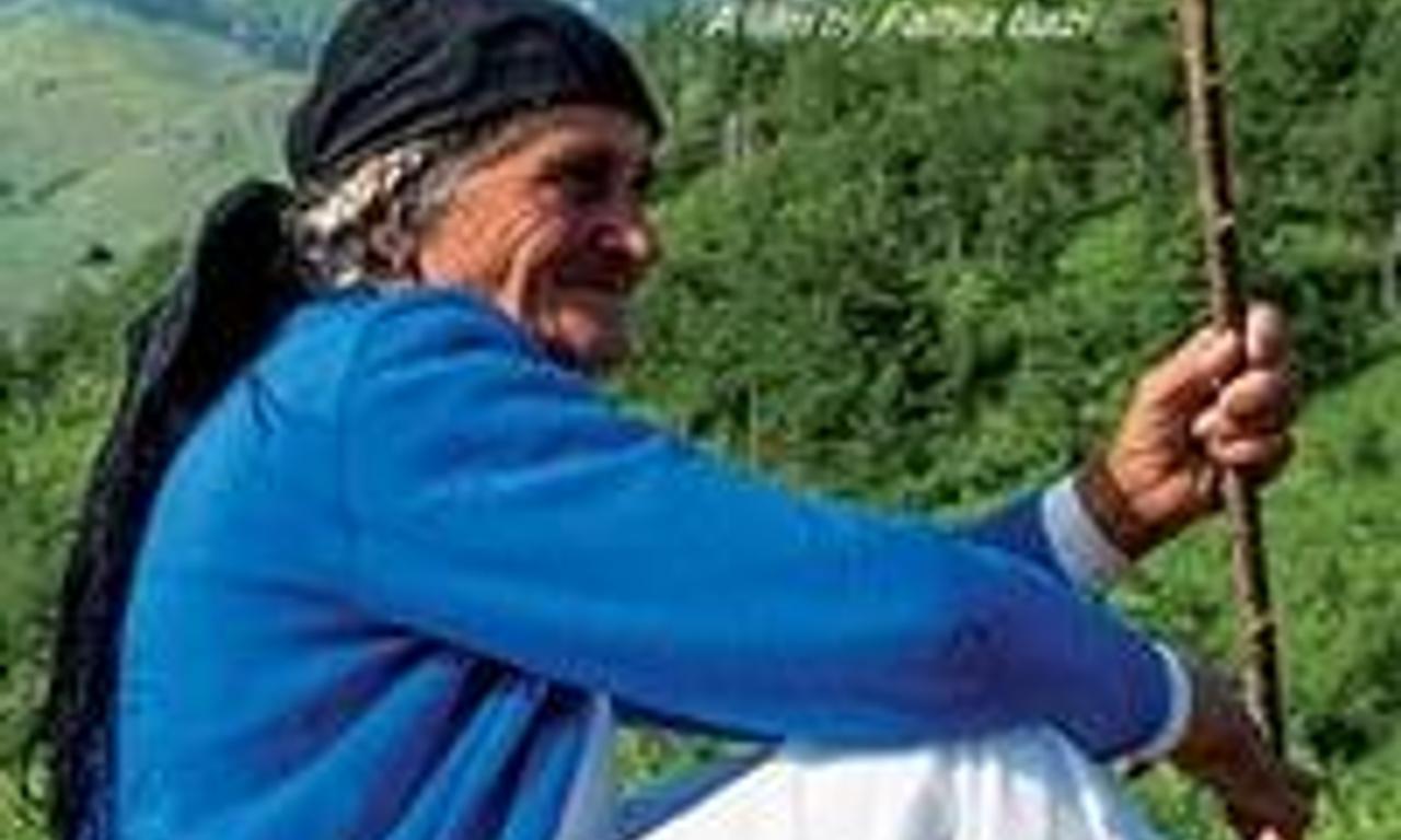 Wild Flower - Where to Watch and Stream Online – Entertainment.ie