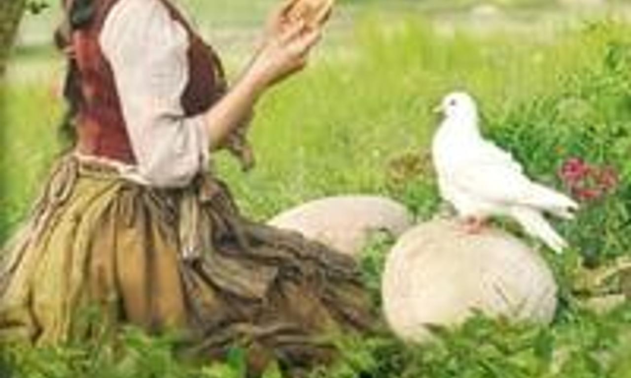 Cinderela (Aschenputtel) - Where to Watch and Stream Online – Entertainment.ie