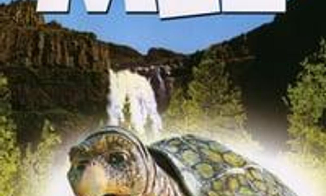 Everyone Loves Mel - Where to Watch and Stream Online – Entertainment.ie