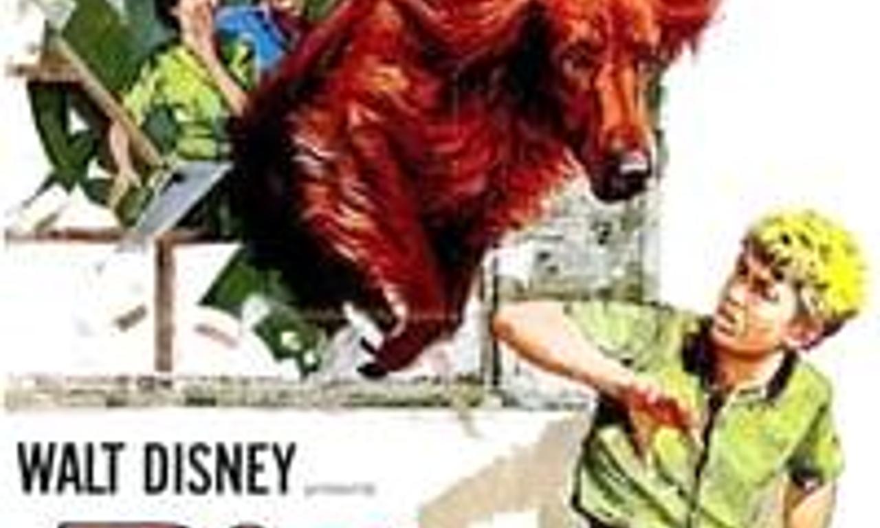 Big Red - Where to Watch and Stream Online – Entertainment.ie