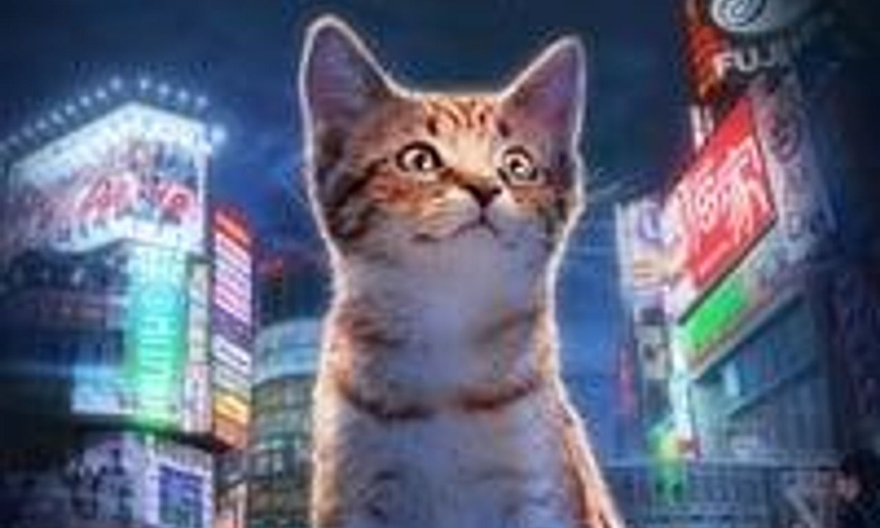 Cat Nation - Where to Watch and Stream Online – Entertainment.ie