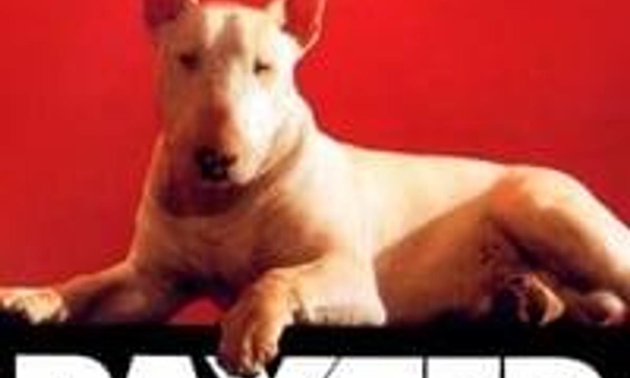 Baxter - Where to Watch and Stream Online – Entertainment.ie