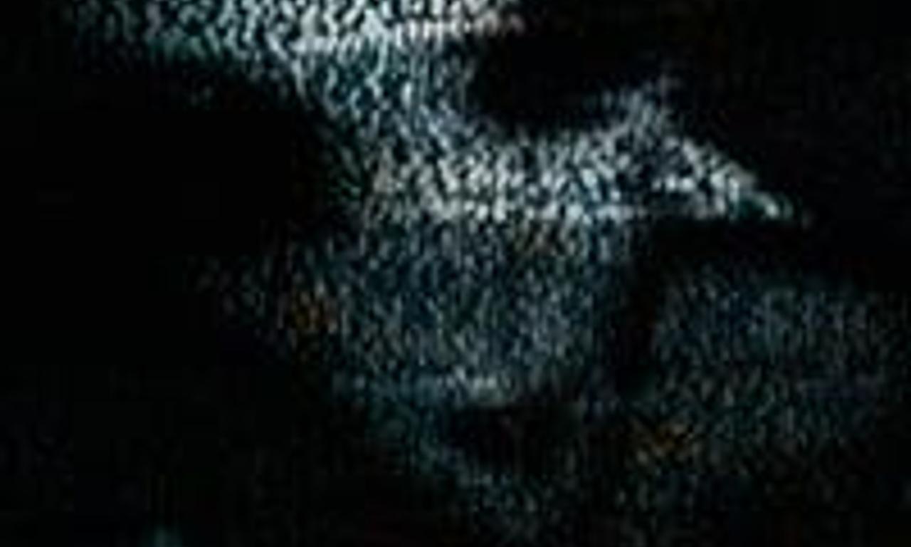 Abductee - Where to Watch and Stream Online – Entertainment.ie