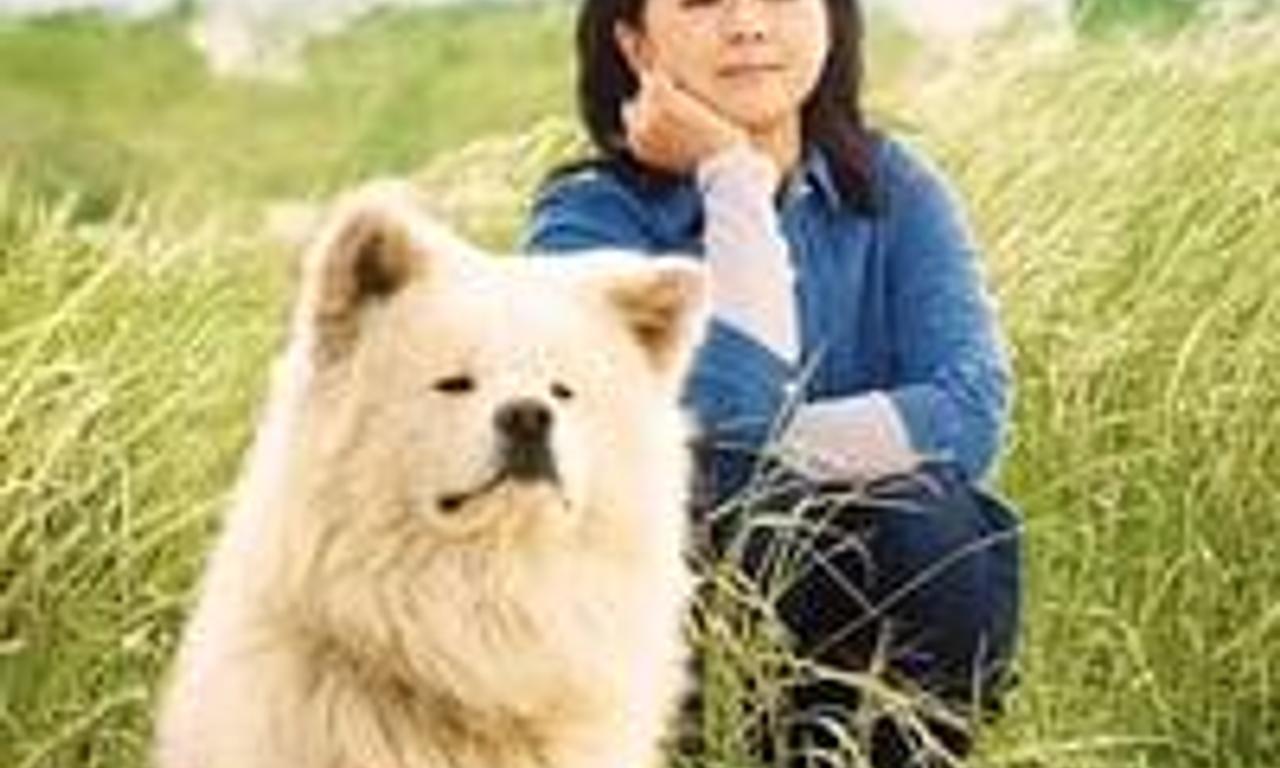 Wasao - Where to Watch and Stream Online – Entertainment.ie